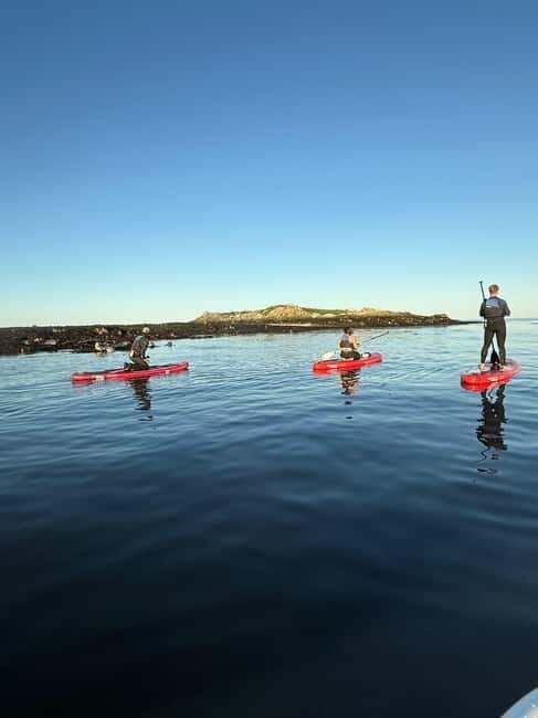 Howth: Paddleboarding Lesson in Howth Harbour - What to expect from the experience