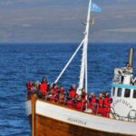 Húsavík: Family-Run and Guided Whale Watching Tour - In-Depth Itinerary Breakdown