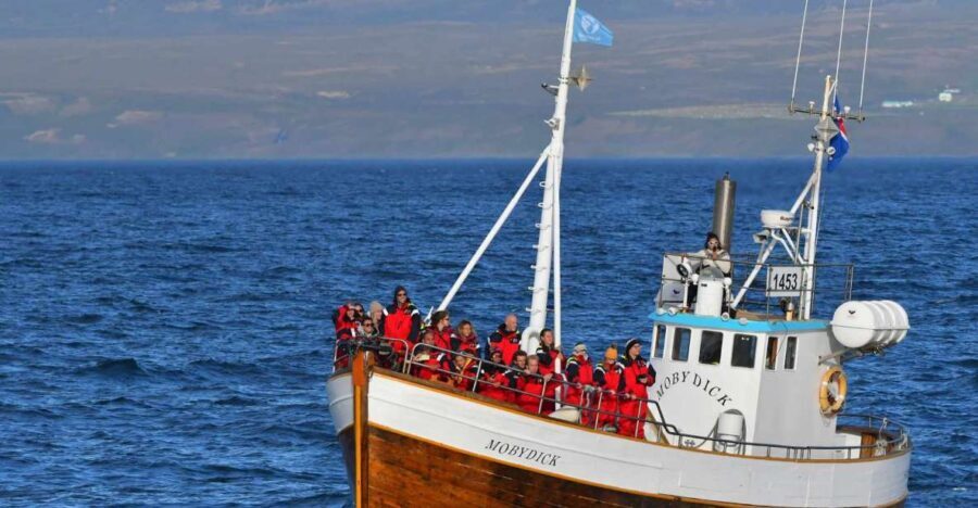 Húsavík: Family-Run and Guided Whale Watching Tour - In-Depth Itinerary Breakdown