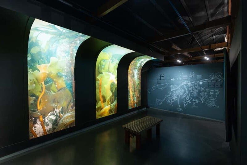 Húsavík: Whale Museum Entry Ticket - Who Should Consider Visiting?
