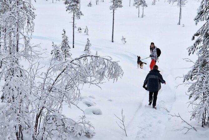 Husky Hike, Snowshoe hike with huskies - Key Points