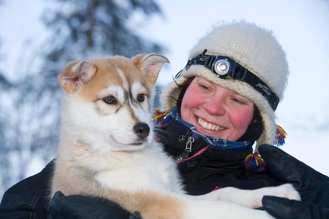 Husky Safari from Rovaniemi Including a Husky Sled Ride - Who Would Love This Tour?