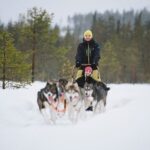Husky Sledding Self-driving in Rovaniemi - FAQ