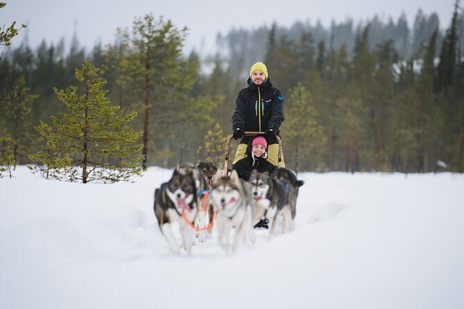 Husky Sledding Self-driving in Rovaniemi - FAQ