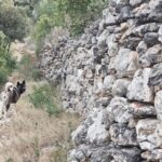 Hvar: Guided Hiking Tour in the Countryside - Final Thoughts: Is This Tour Worth It?