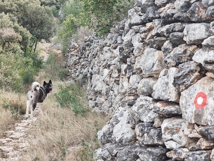 Hvar: Guided Hiking Tour in the Countryside - Final Thoughts: Is This Tour Worth It?