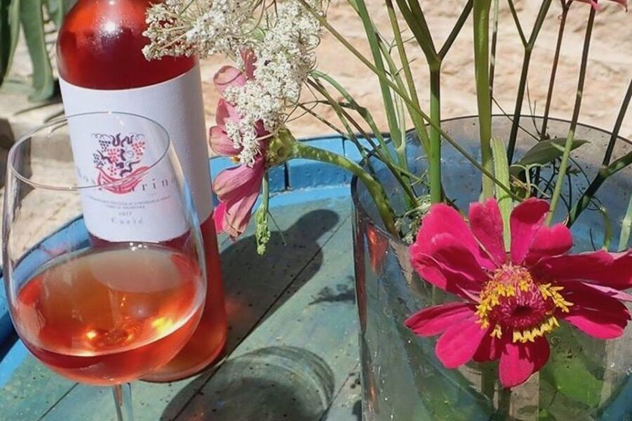 Hvar: Hvar Wine Tasting Experience - Cons