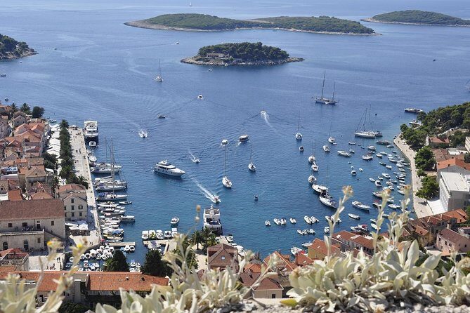 Hvar Private Walking Tour With A Professional Guide - The Value of a Private Guide