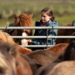Hveragerdi: Countryside Charm Horse Riding Tour - Detailed Tour Breakdown