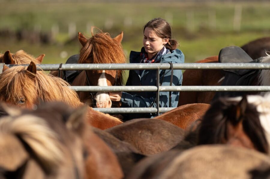 Hveragerdi: Countryside Charm Horse Riding Tour - Detailed Tour Breakdown