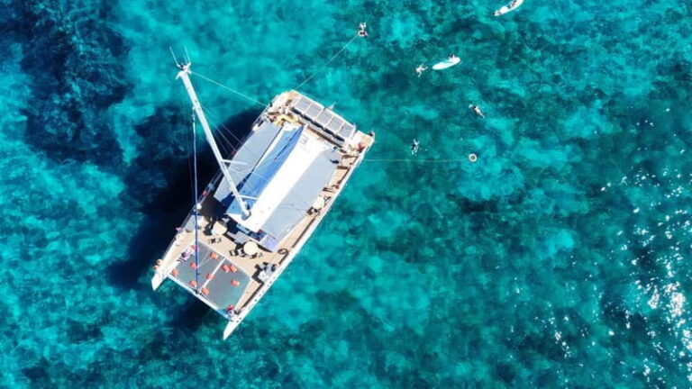 Hyères: Discovery Morning: Guided tour of the coastline on a Catamaran - The Details That Make a Difference