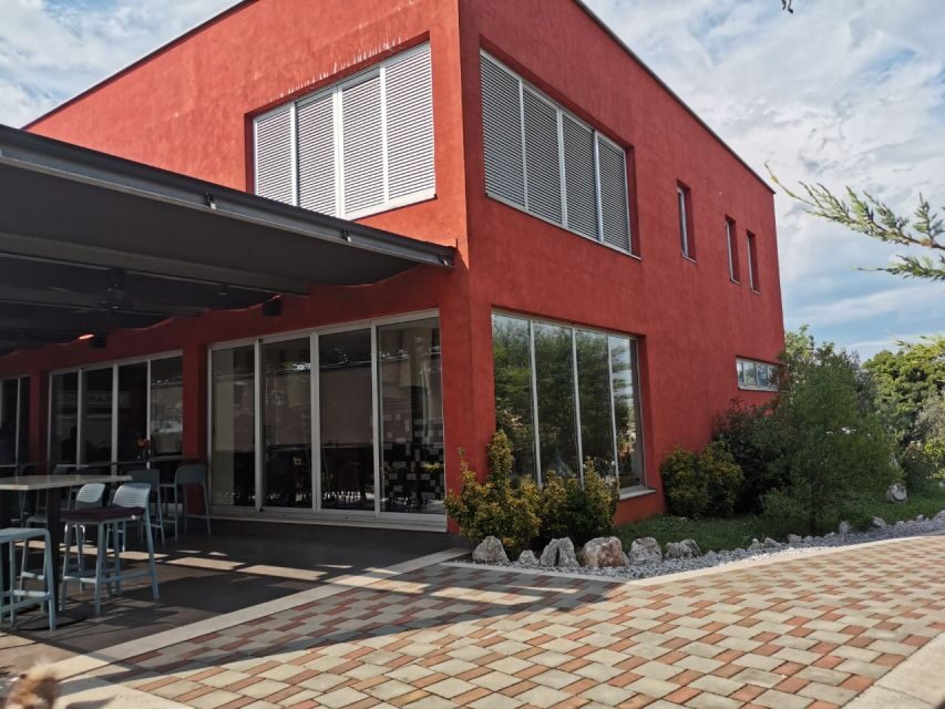 ian: Organic Winery Tour and Tasting Experience - Authenticity and Value