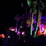 IBIZA: Astro Magic Lights at Bibo Park - The Experience: A Closer Look at Each Element