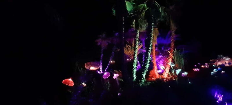 IBIZA: Astro Magic Lights at Bibo Park - The Experience: A Closer Look at Each Element