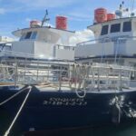 IBIZA excursión marítima Illetas con paella y bebidas - Authentic Experiences and Traveler Reviews