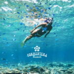 Ibiza: Formentera Cruise with Paella, OpenBar & Water Sports - Who Is This Tour Best For?