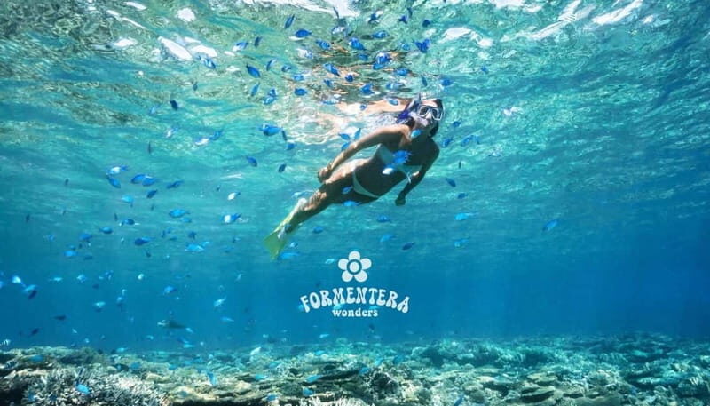 Ibiza: Formentera Cruise with Paella, OpenBar & Water Sports - Who Is This Tour Best For?