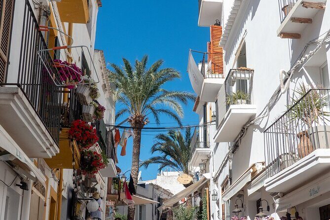 Ibiza old town Private Walking Tour with a Professional Guide - What’s on the Itinerary? A Closer Look