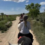 Ibiza: Private Horseback Riding Nature Experience +Transport - Detailed Breakdown of the Experience
