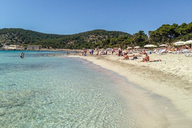 Ibiza south side island Shore Excursion - Practical Details You Should Know
