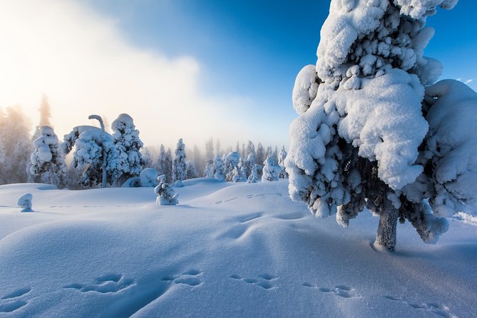 Ice Fishing by Snowmobile from Rovaniemi - Key Points