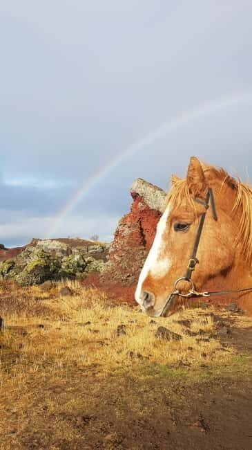 Iceland: Volcanic Landscape Horse Riding Tour - The Itinerary and What to Expect