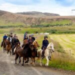 Icelandic Horse Riding and Whale Watching Cruise from Reykjavík - The Value of This Tour