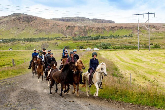 Icelandic Horse Riding and Whale Watching Cruise from Reykjavík - The Value of This Tour
