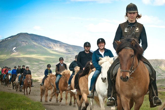Icelandic Horseback Riding Tour Including Pick Up from Reykjavik - Introduction