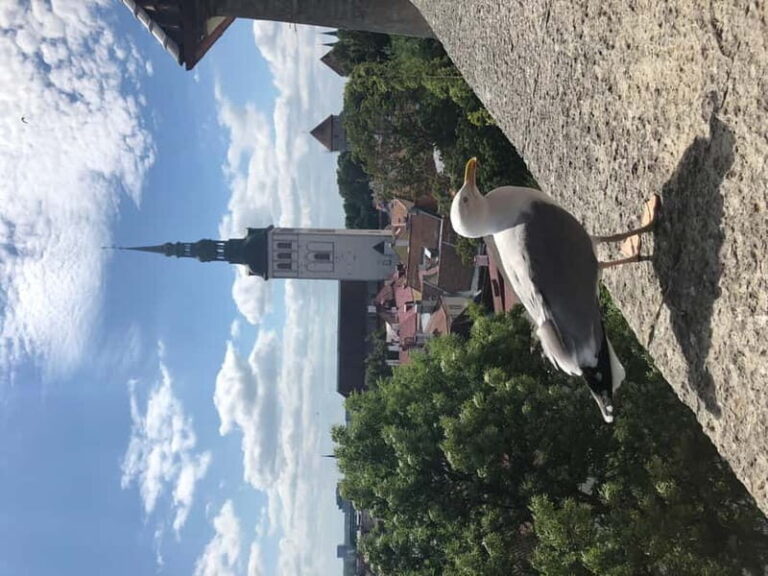 Iconic Old town Tallinn - In-Depth Look at the Itinerary