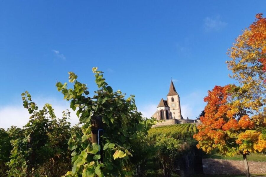 Iconics Typical villages & Haut Koenigsbourg castle - An In-Depth Look at the Tour