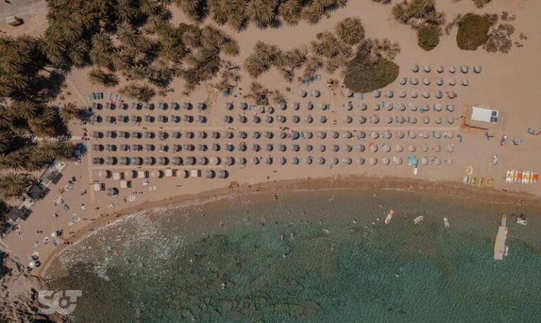 Ierapetra-Makrigialos: Vai Palm Beach, Moni Toplou & Sitia - Who Should Take This Tour?
