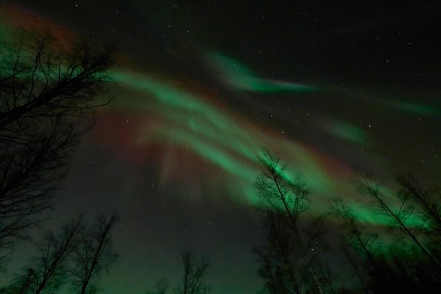 Ii: Snowmobile sleigh trip on frozen sea under starlit sky - How Does the Experience Reflect its Value?