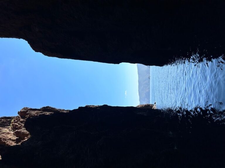 Ile Rousse : la réserve naturelle de Scandola - Marine Life and Snorkeling