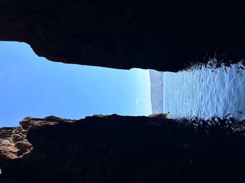 Ile Rousse : la réserve naturelle de Scandola - Marine Life and Snorkeling