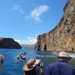 Ilhéus das Cabras in Terceira Island - The Logistics: How the Tour Works