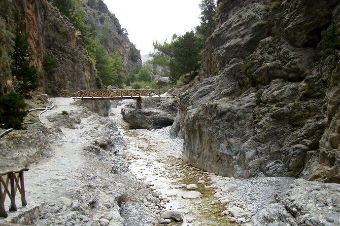 Imbros Gorge Adventure Day Trip from Chania - Who Should Take This Tour?