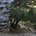 Imbros Gorge: Walk the Trail, Live the Story Private Tour - What to Expect on the Tour