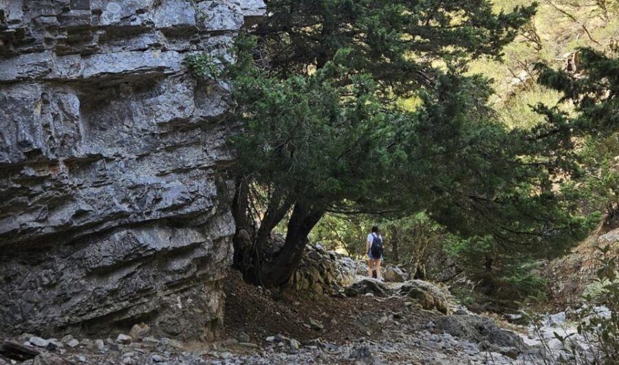 Imbros Gorge: Walk the Trail, Live the Story Private Tour - What to Expect on the Tour