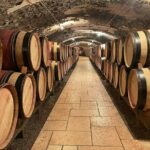 Immersion Domaine E.GUIGAL Visit wine cellars and tasting - Why This Tour Works — and Why It’s Worth the Price