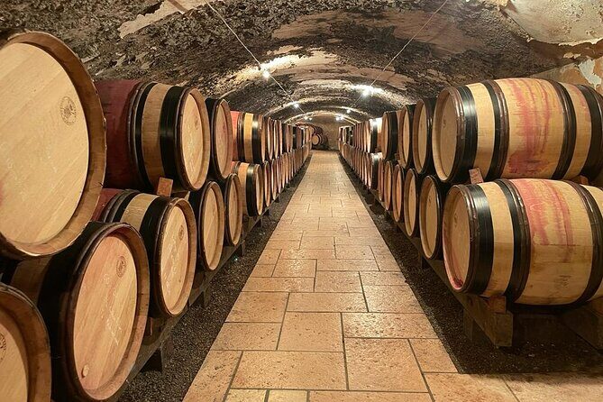 Immersion Domaine E.GUIGAL Visit wine cellars and tasting - Why This Tour Works — and Why It’s Worth the Price
