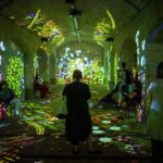 Impressive Monet & Brilliant Klimt -The Immersive Experience - The Visual Spectacle