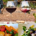 In Depth Chateauneuf-du-Pape - Price and Value