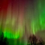 Inari/Ivalo: Aurora Hunting Tour by Car with Warm Drinks - Transportation and Logistics