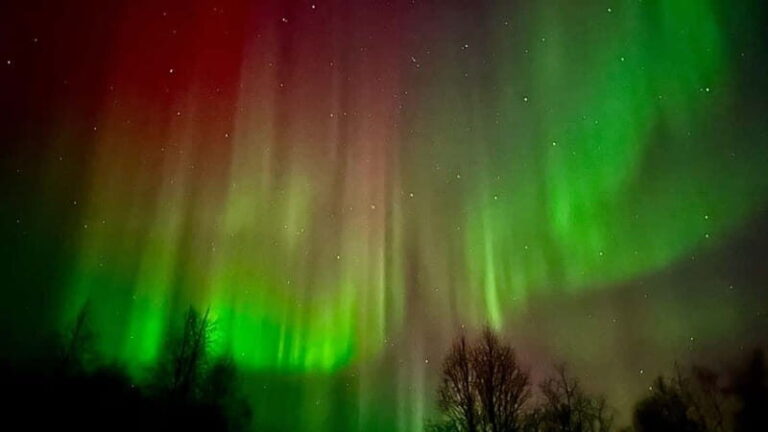 Inari/Ivalo: Aurora Hunting Tour by Car with Warm Drinks - Transportation and Logistics
