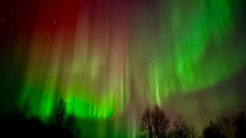 Inari/Ivalo: Aurora Hunting Tour by Car with Warm Drinks - Transportation and Logistics