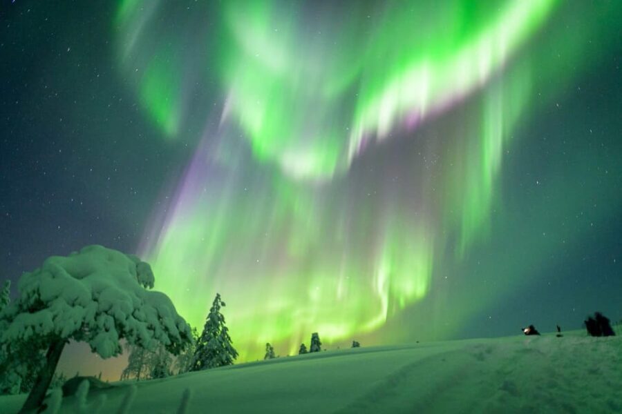 Inari: Northern Lights Hunt Snowmobile Safari - Who Is This Tour Best For?