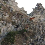 Incantevole Tour al tramonto con sosta a Praia i Focu - FAQ