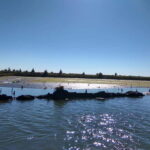 Industry or Nature Boat Tour | Speedboat - The Itinerary in Detail