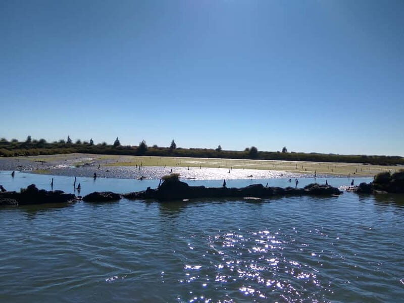 Industry or Nature Boat Tour | Speedboat - The Itinerary in Detail